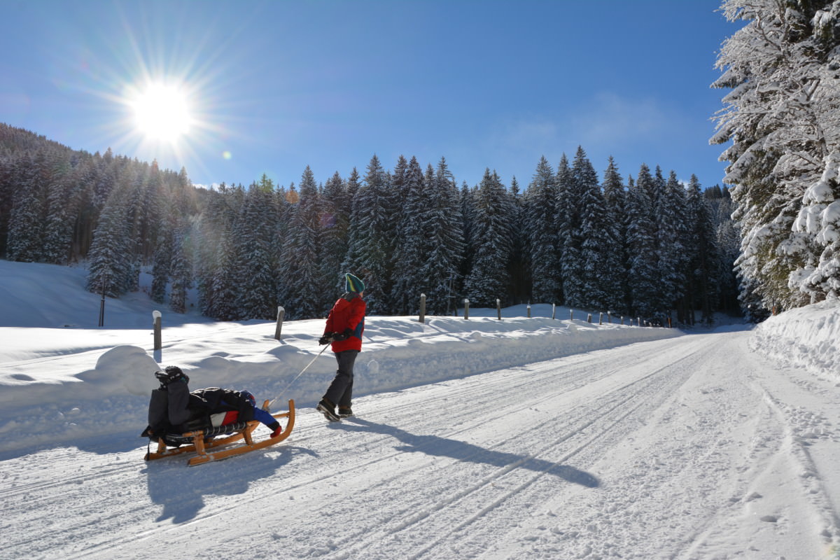 RODELN SALZBURG ⭐️ Top Rodelbahnen Salzburger Land